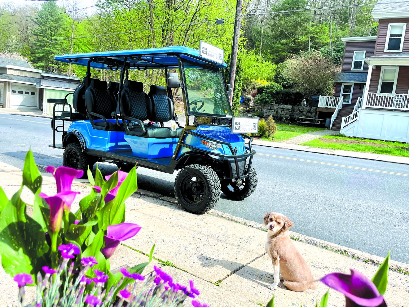 Ride in Eco-Friendly Style to The Stabin Museum and Café Arielle in ...